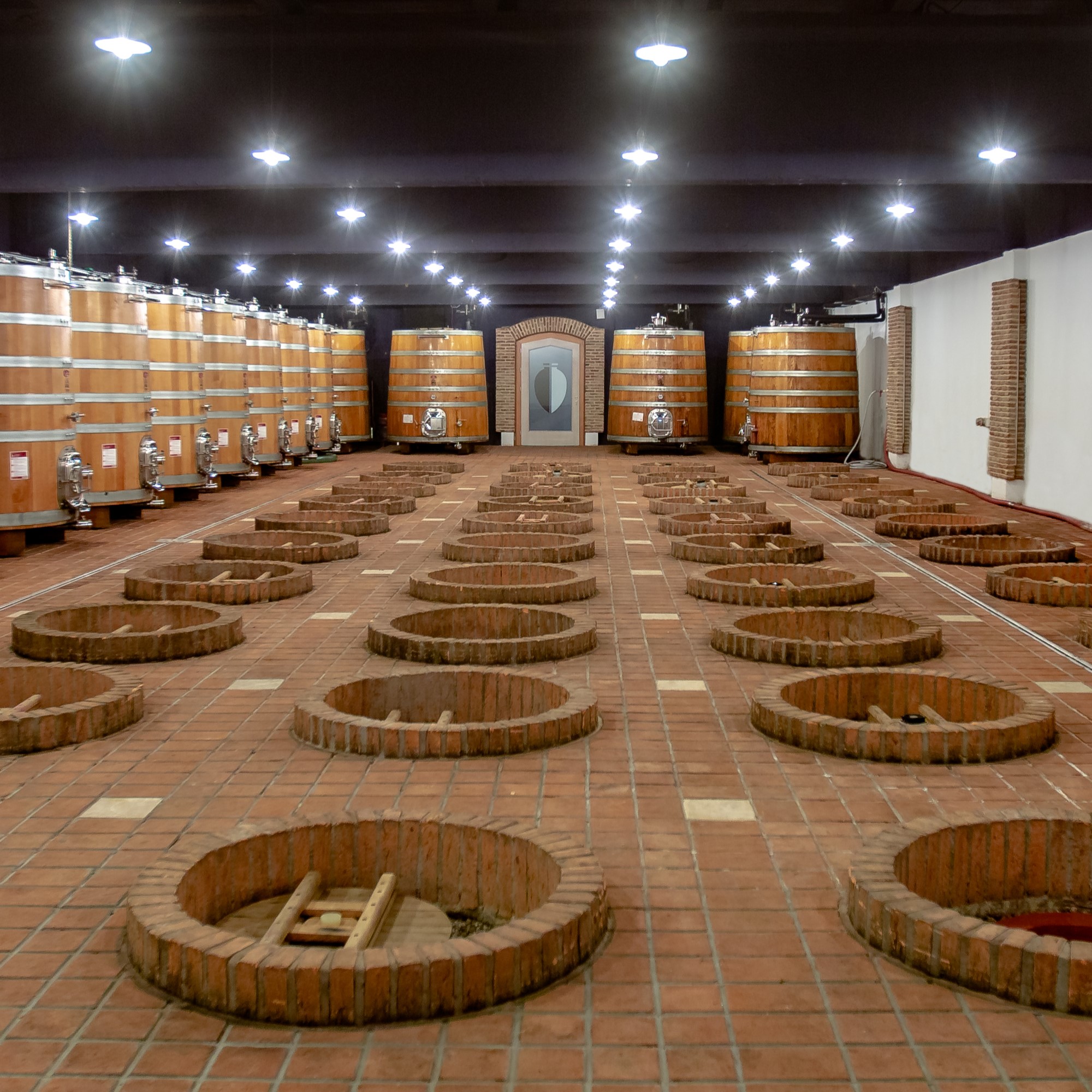 Wine Tasting at Telavi Wine Cellar in Kakheti | Winetourism.com