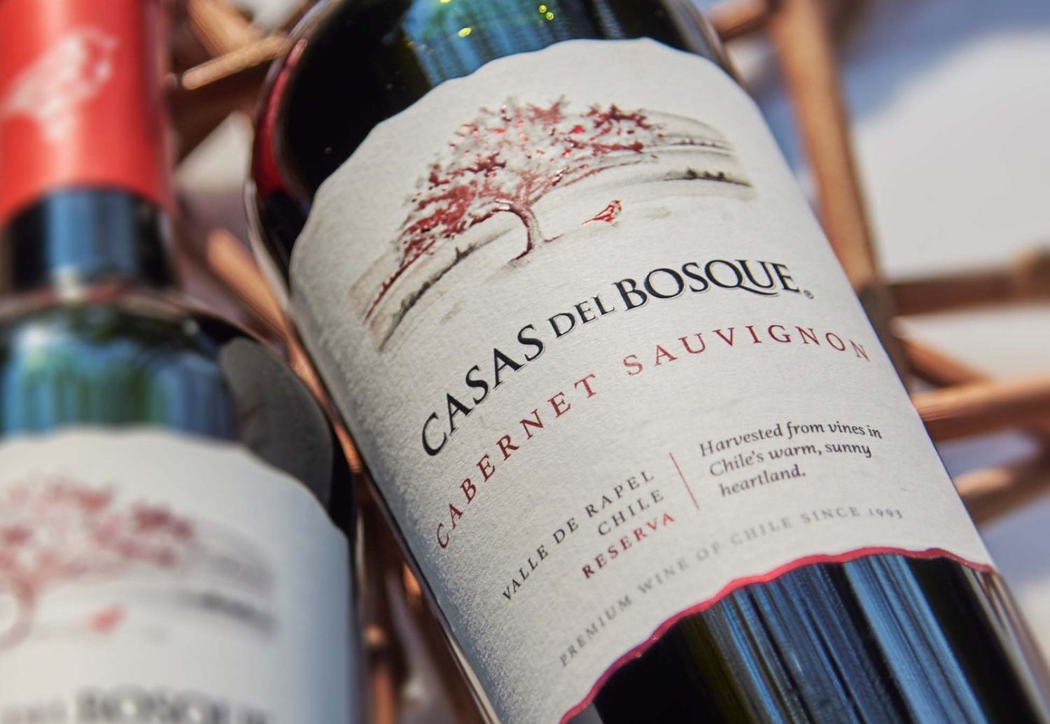 Chile at a glance: 2 days, 2 wine regions! | Winetourism.com
