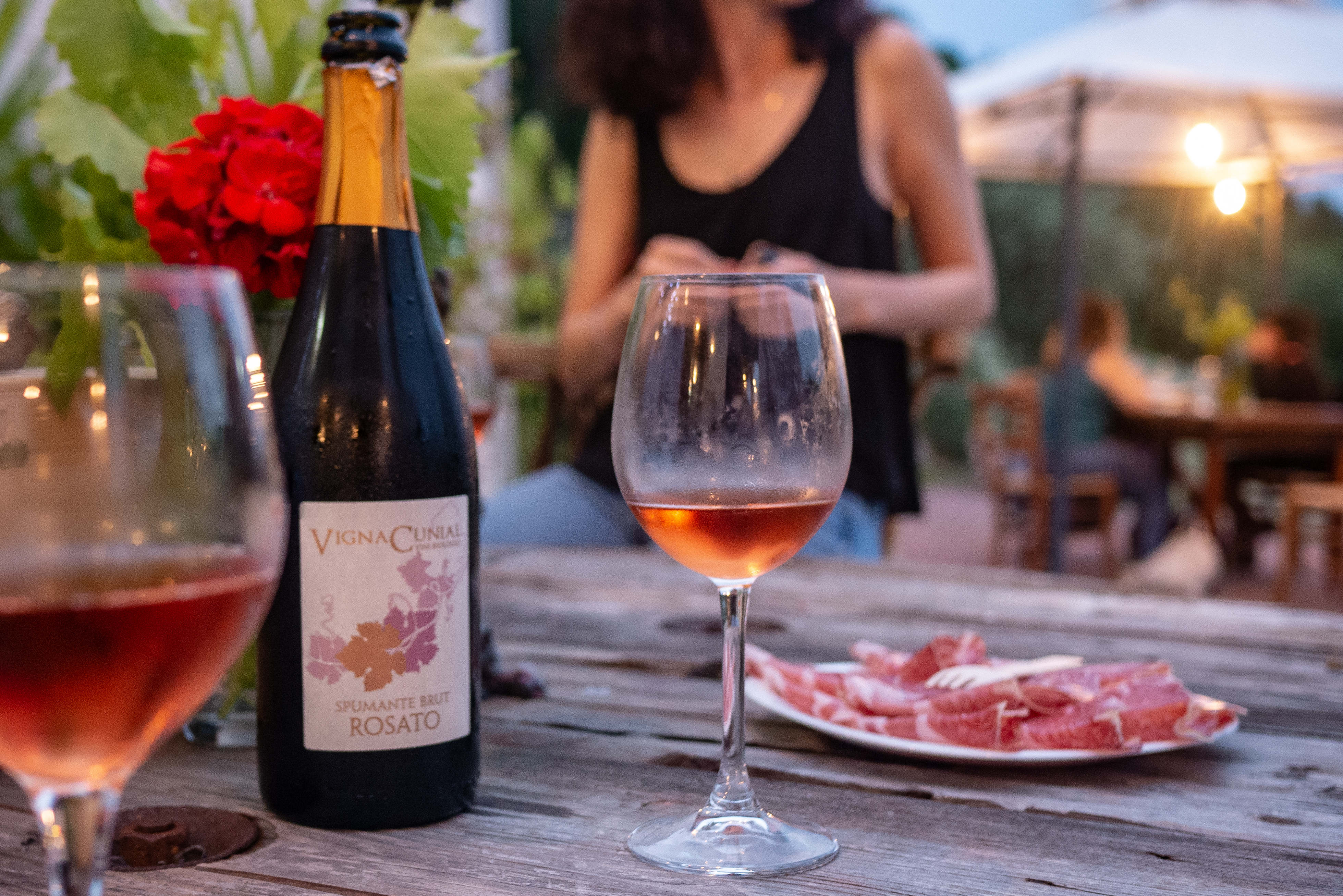 Wine Tasting at Vigna Cunial in Emilia - Romagna | Winetourism.com