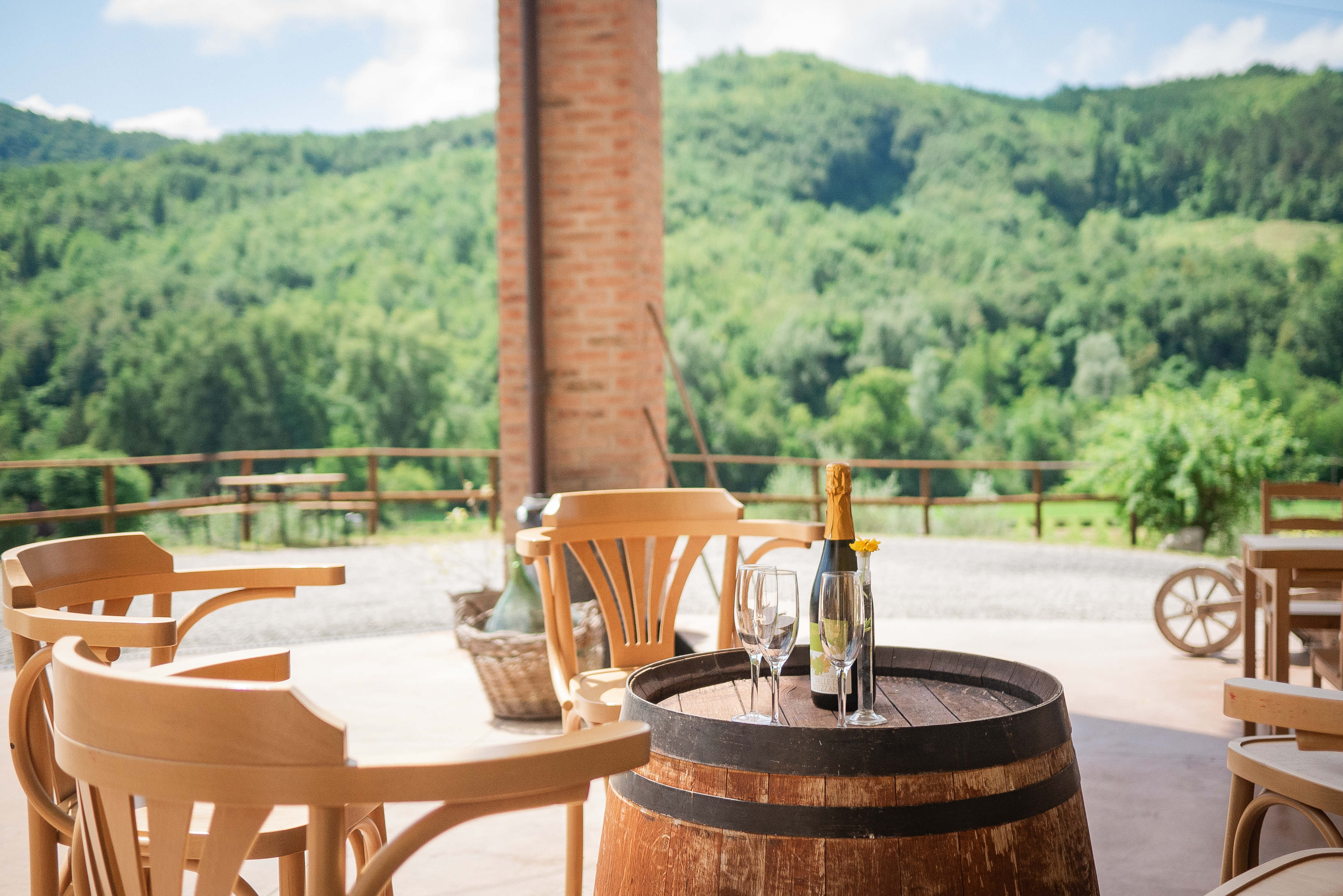 Wine Tasting at Vigna Cunial in Emilia - Romagna | Winetourism.com