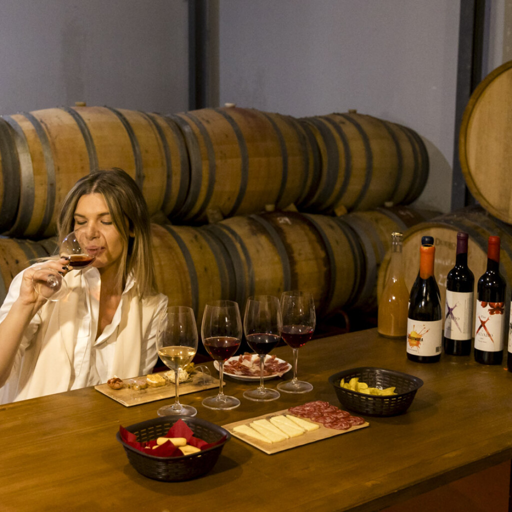 Guided Visit to a Pretty Vineyard and Cellar, with Five Wines Tasting ...