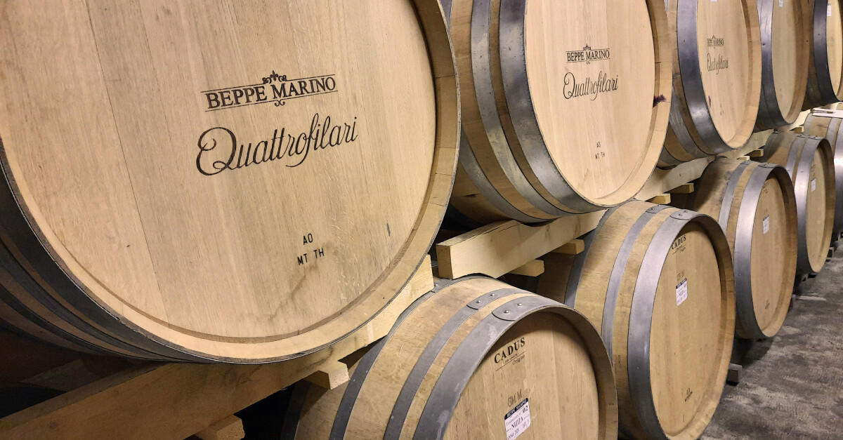 Beppe Marino Winery Tour & Tasting in Langhe, Piedmont | Winetourism.com