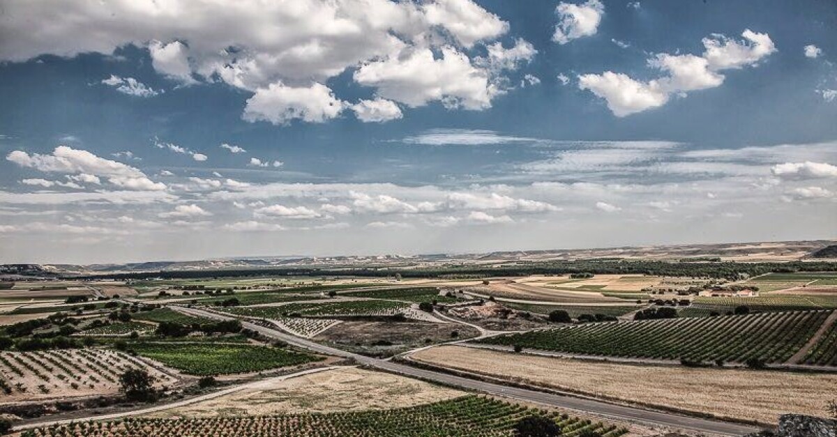 Cata de vinos y visita guiada en Velvety Wines, Castilla y León ...