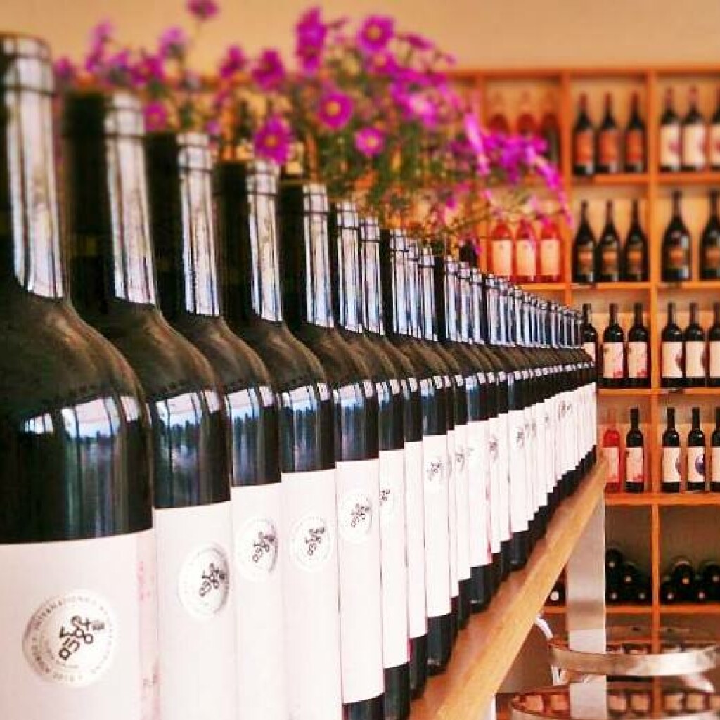 Wine Tasting at Terres de Lavaux Winery in UNESCO Lavaux | Winetourism.com