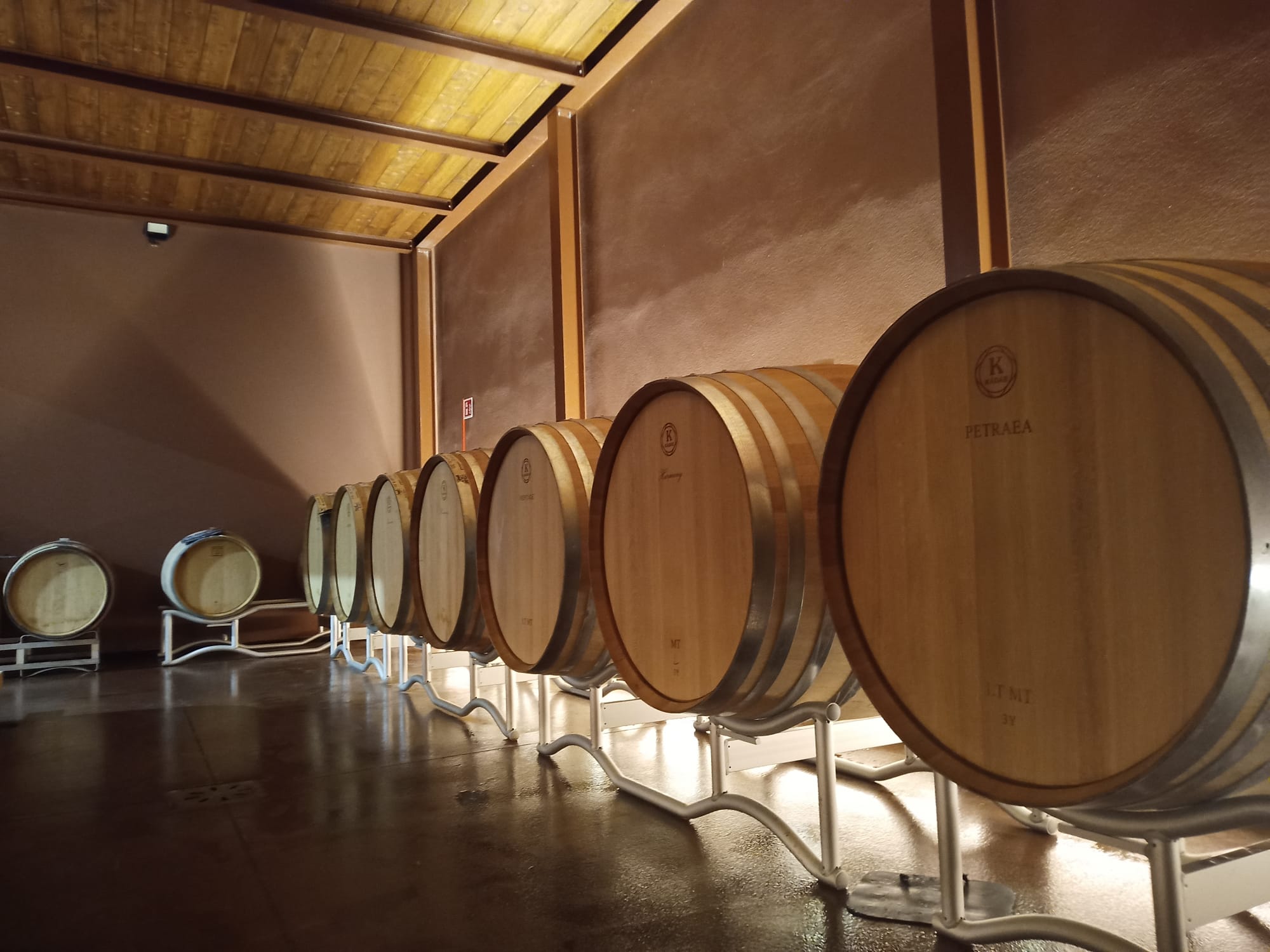 Experiencia en la bodega | Winetourism.com