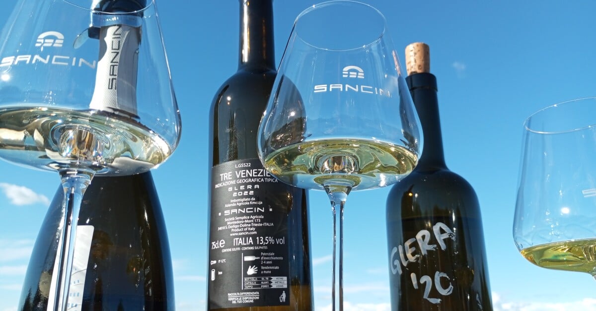 Sancin Winery Tour & Tasting in Friuli Venezia Giulia | Winetourism.com