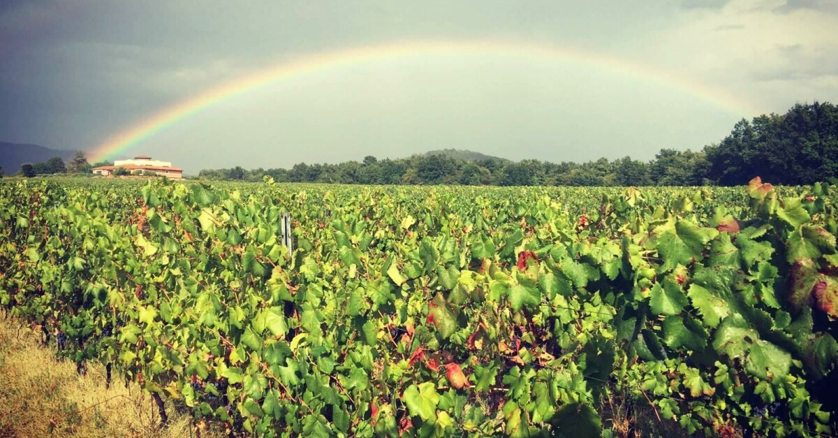 La Biagiola Winery Tour & Tasting in Maremma Toscana | Winetourism.com