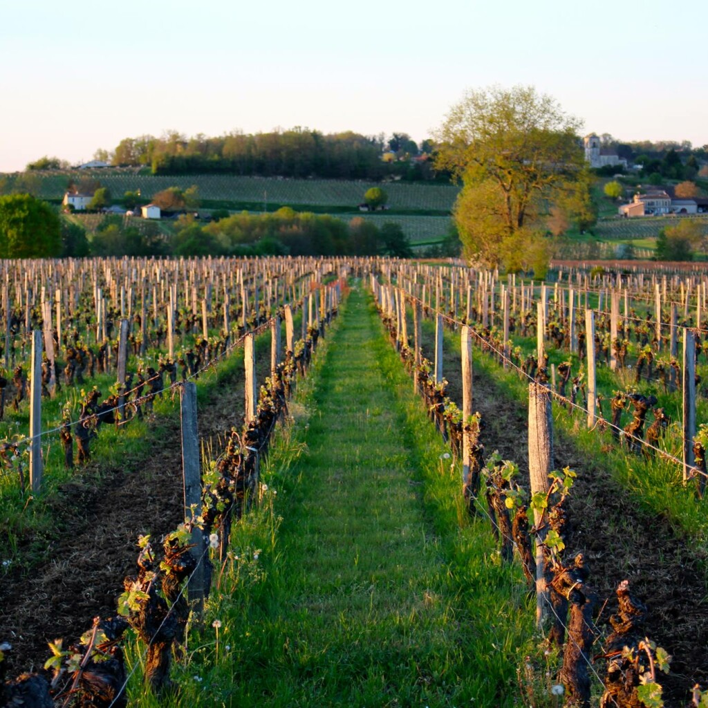 Château Grangey - Winery in Bordeaux | Winetourism.com