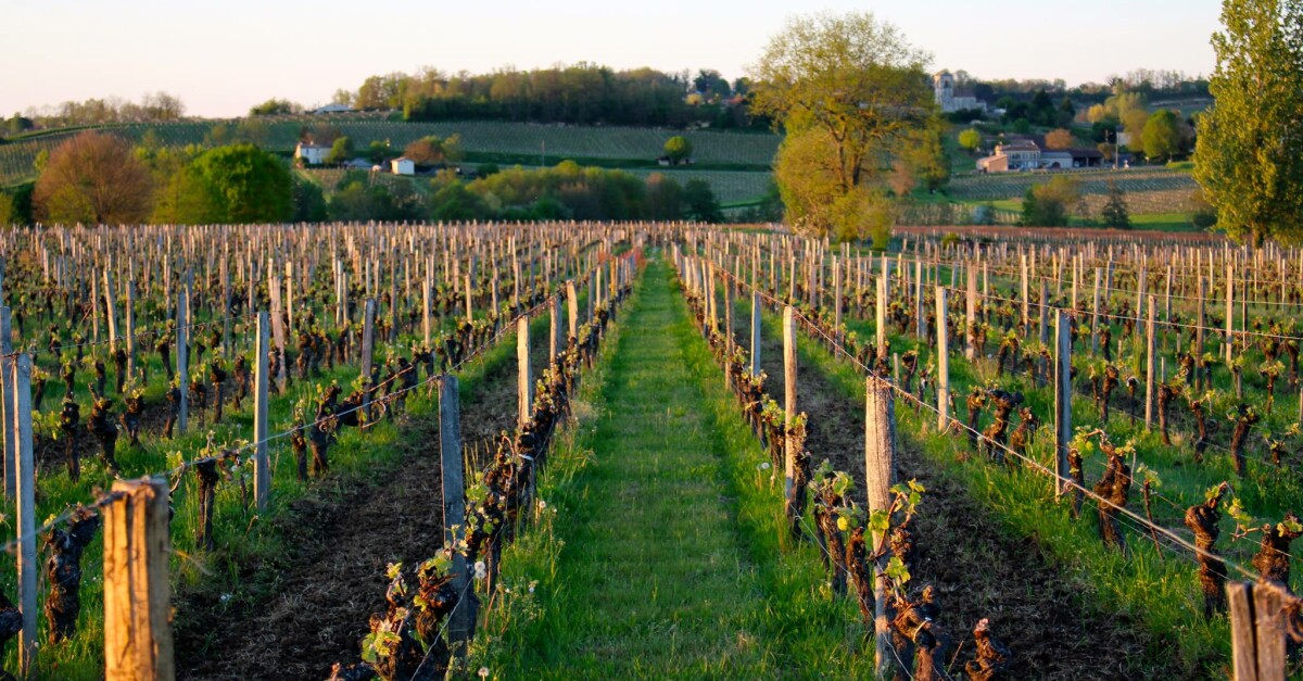 Château Grangey - Winery in Bordeaux | Winetourism.com