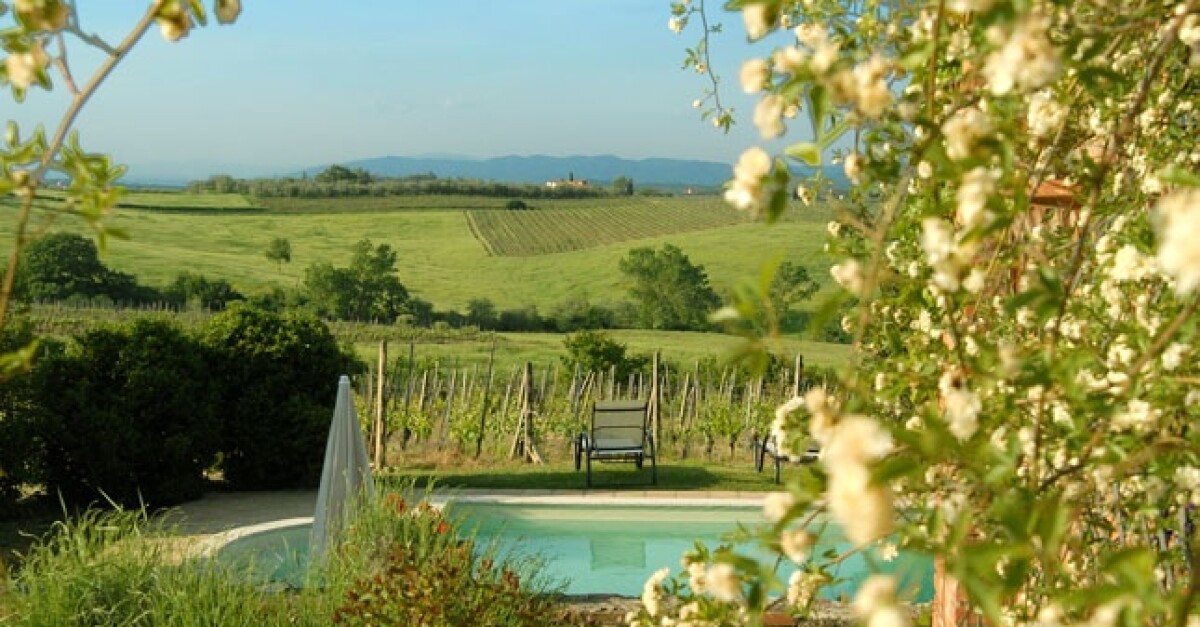 Fanetti - Vignoble en Tuscany | Winetourism.com