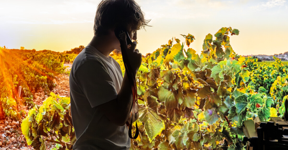 Brotte Winery Tasting & Museum Tour in Châteauneuf-du-Pape ...