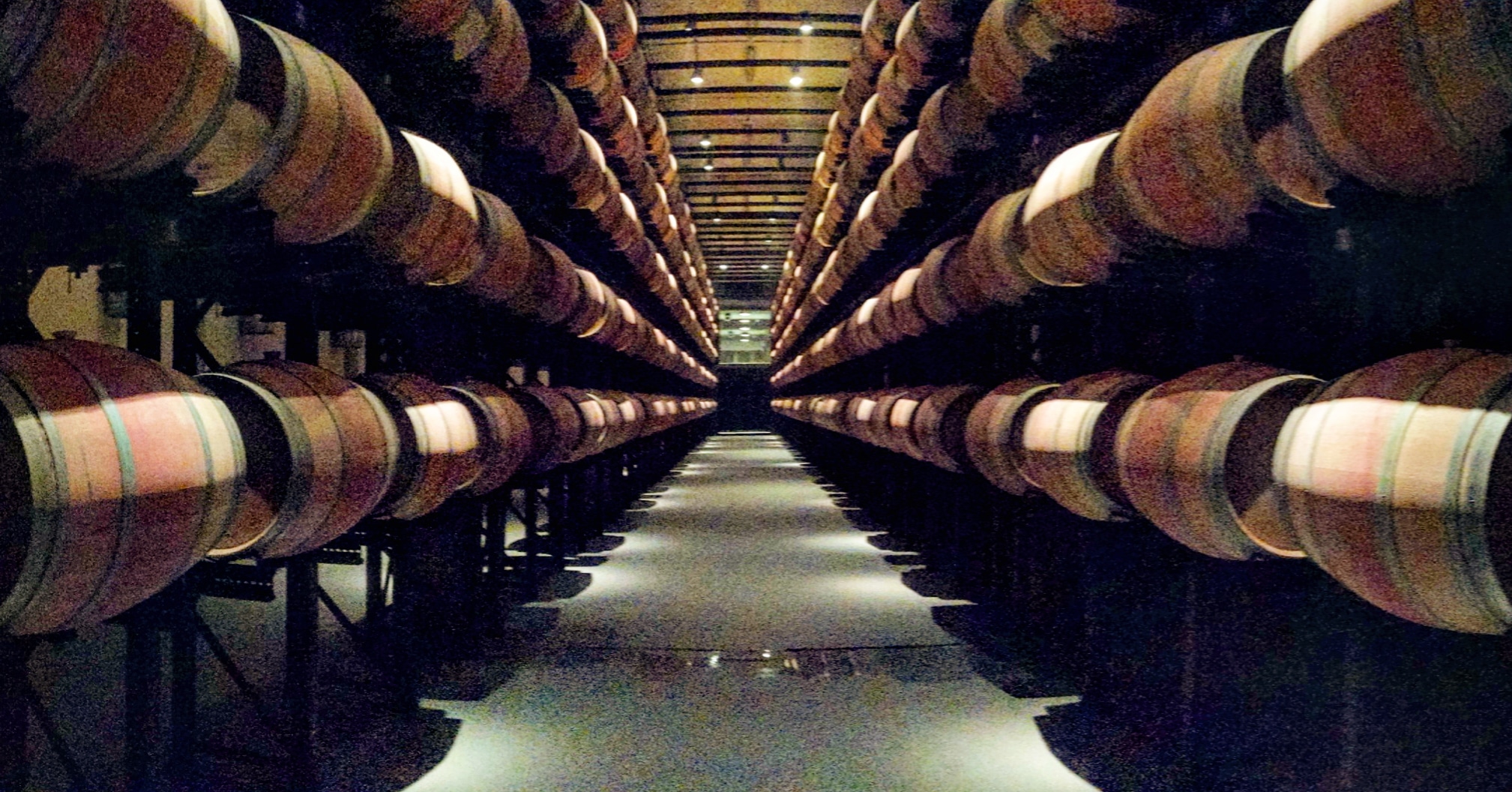 Raul O, a guide in Madrid | Winetourism.com