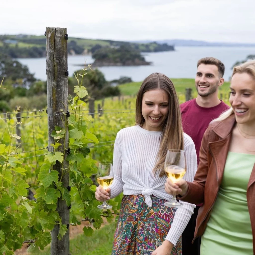 Cable Bay Vineyards - Winery in Marlborough & Waiheke | Winetourism.com