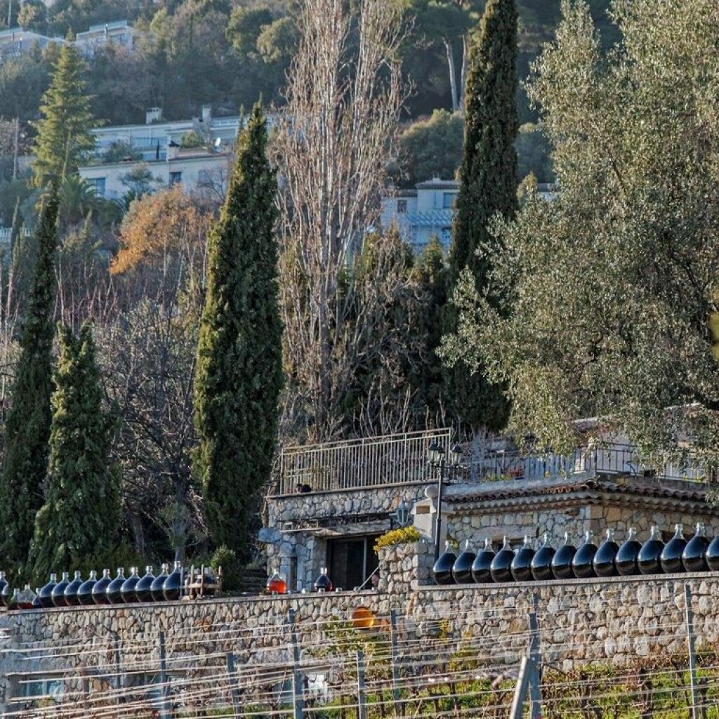 Domaine Des Hautes Collines De La Ote D'Azur - Winery in Provence ...