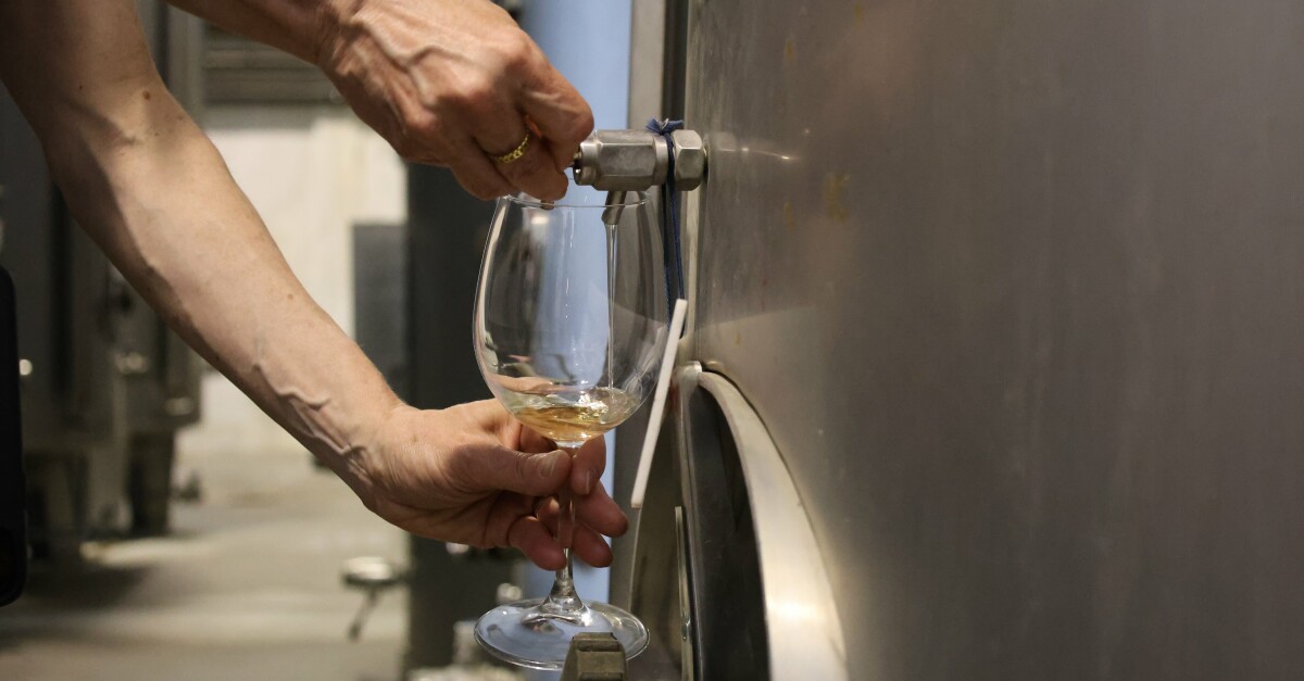 Lisbon Living Tours' Guides | Winetourism.com