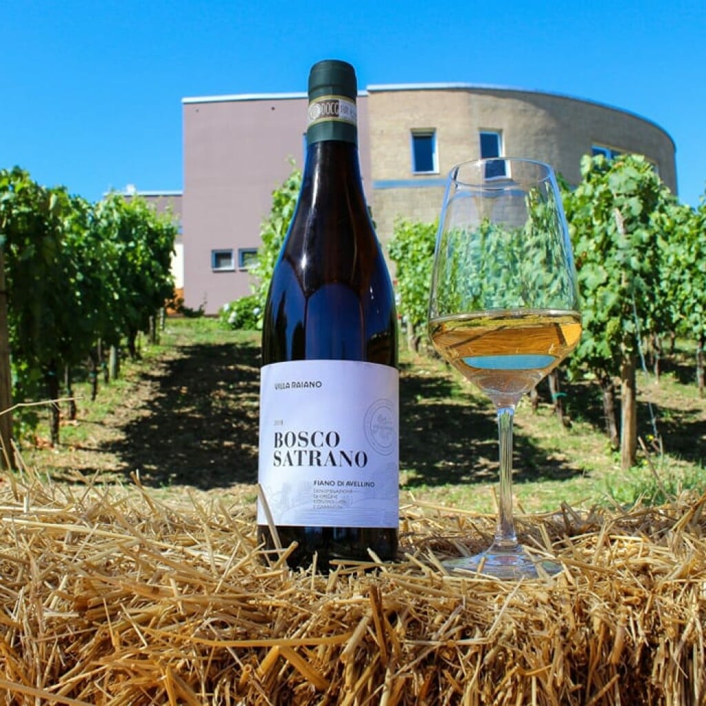 Villa Raiano - Cantina in Campania | Winetourism.com