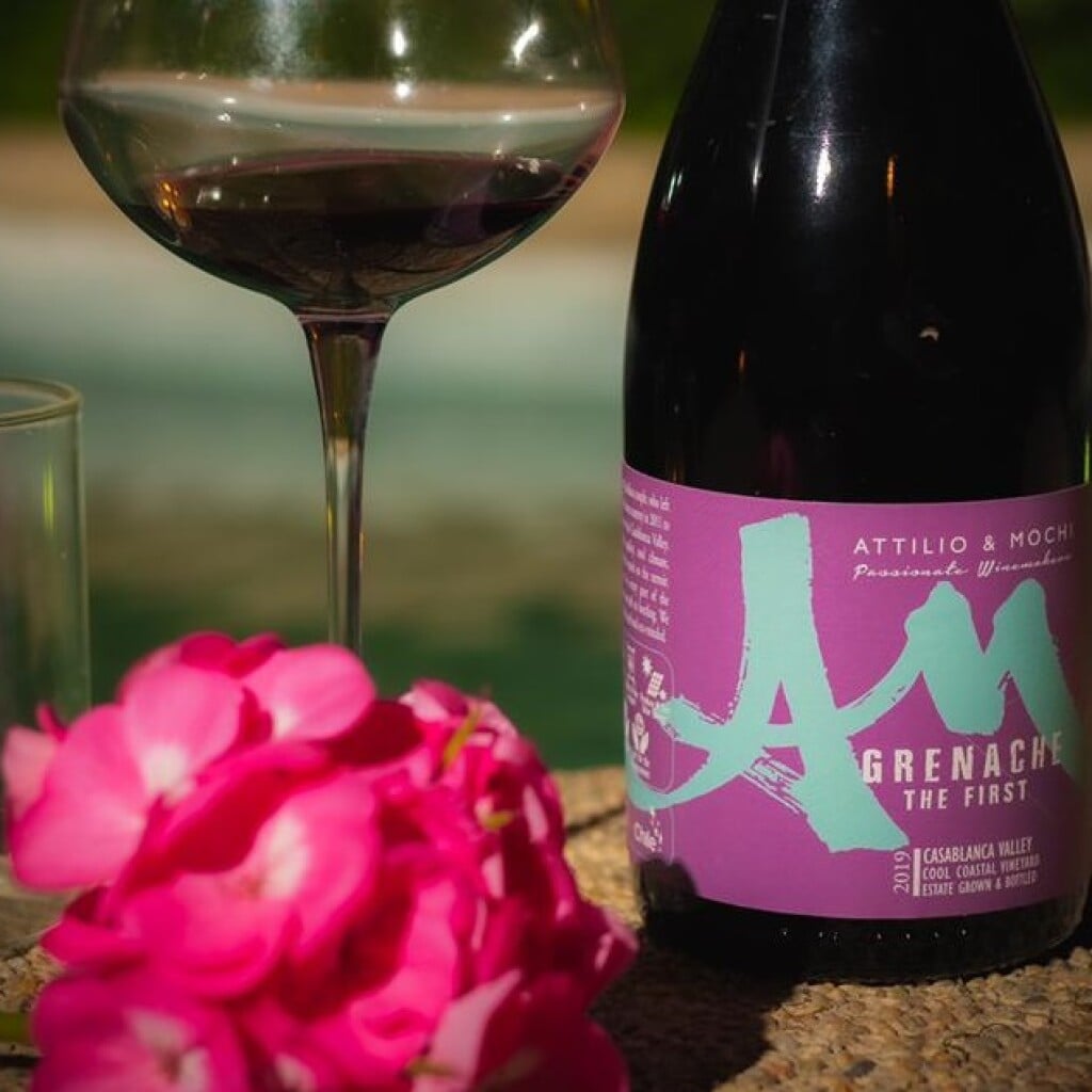 Attilio & Mochi - finca vinícola en Aconcagua | WineTourism.com