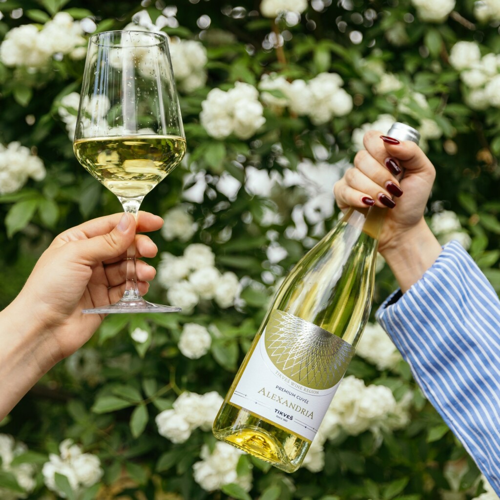 Tikveš Winery - Winery in Vardar River Valley | Winetourism.com