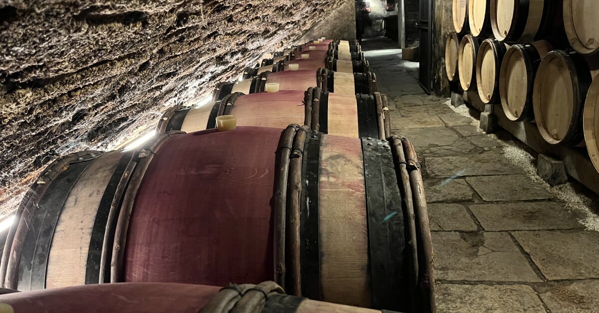 France Intense - Burgundy team | Winetourism.com