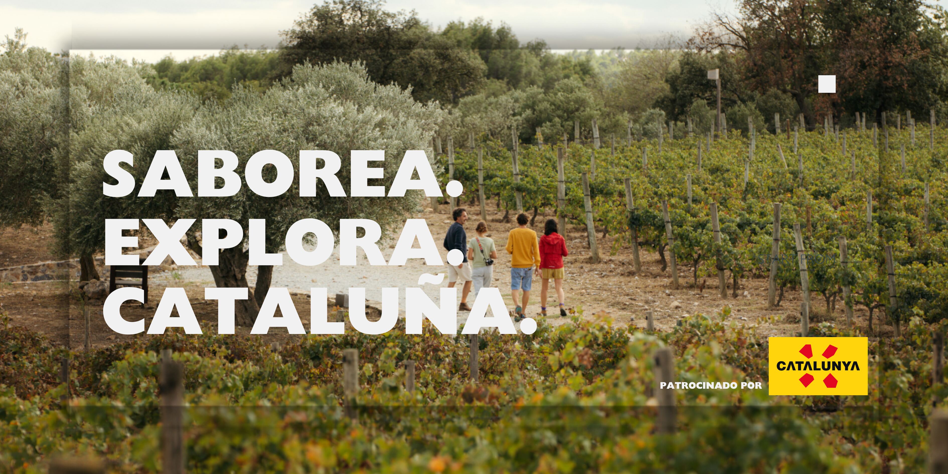 Región Vitivinícola Penedès 2026: Vinos y Bodegas | WineTourism.com