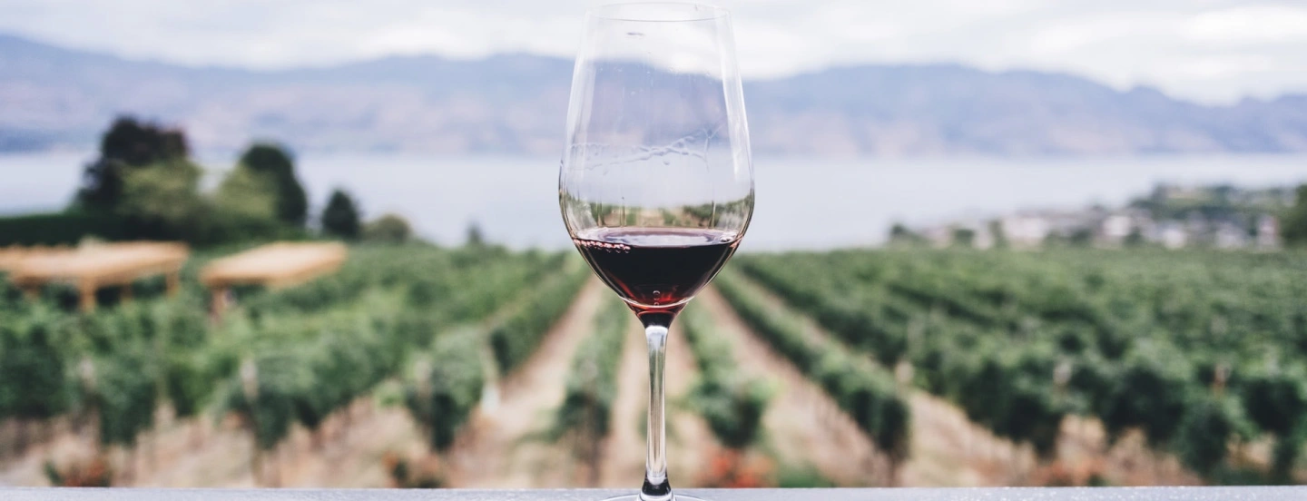 Pacina Winery - Winery in | Winetourism.com