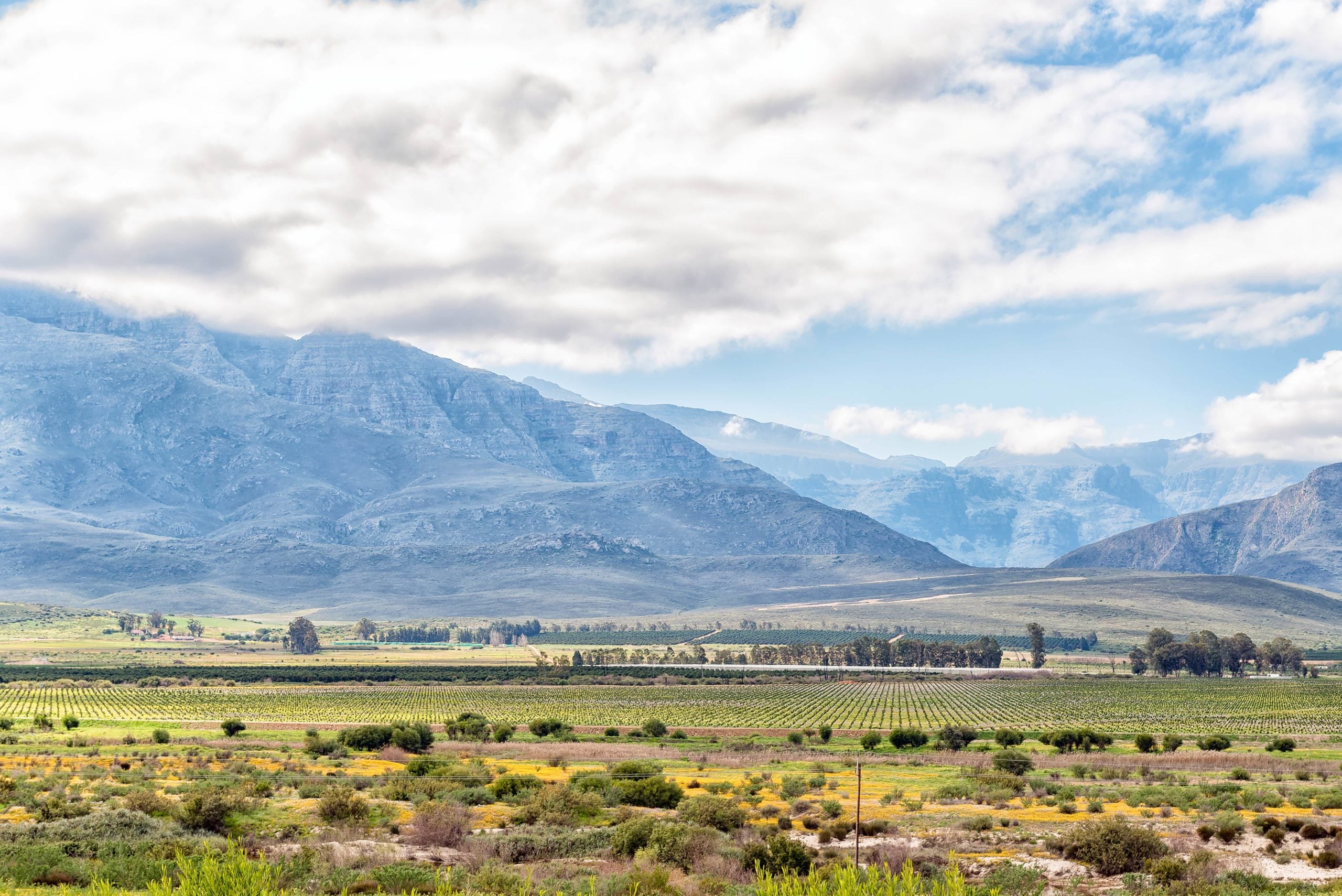 Olifants River Wine Region, South Africa | Winetourism