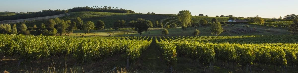 Bordeaux Wine Region, France | Winetourism.com