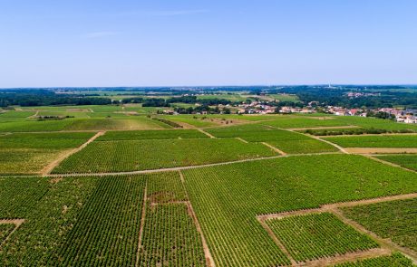 Pouilly-Fumé - Wine Region in Loire Valley, France | Winetourism.com