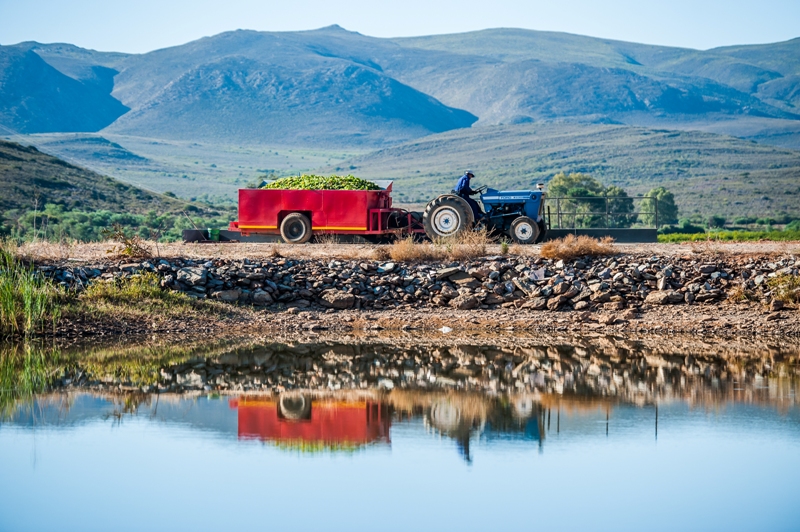 Van Loveren - Great winery in Robertson | Winetourism.com