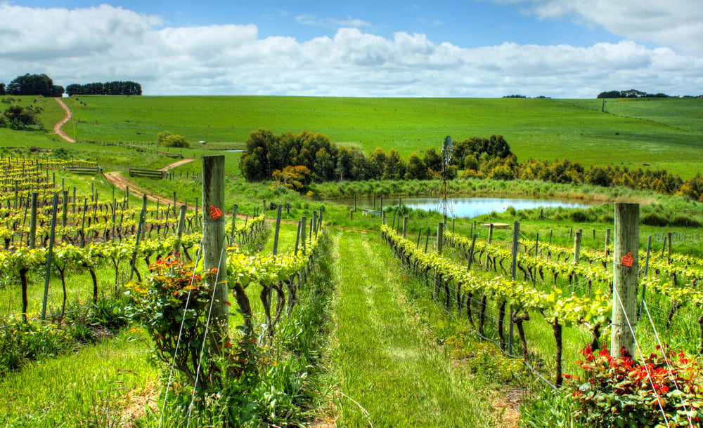 Australian wine regions - Wine tasting & tours | Winetourism.com