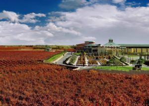 Vivanco - Winery in Rioja | Winetourism.com