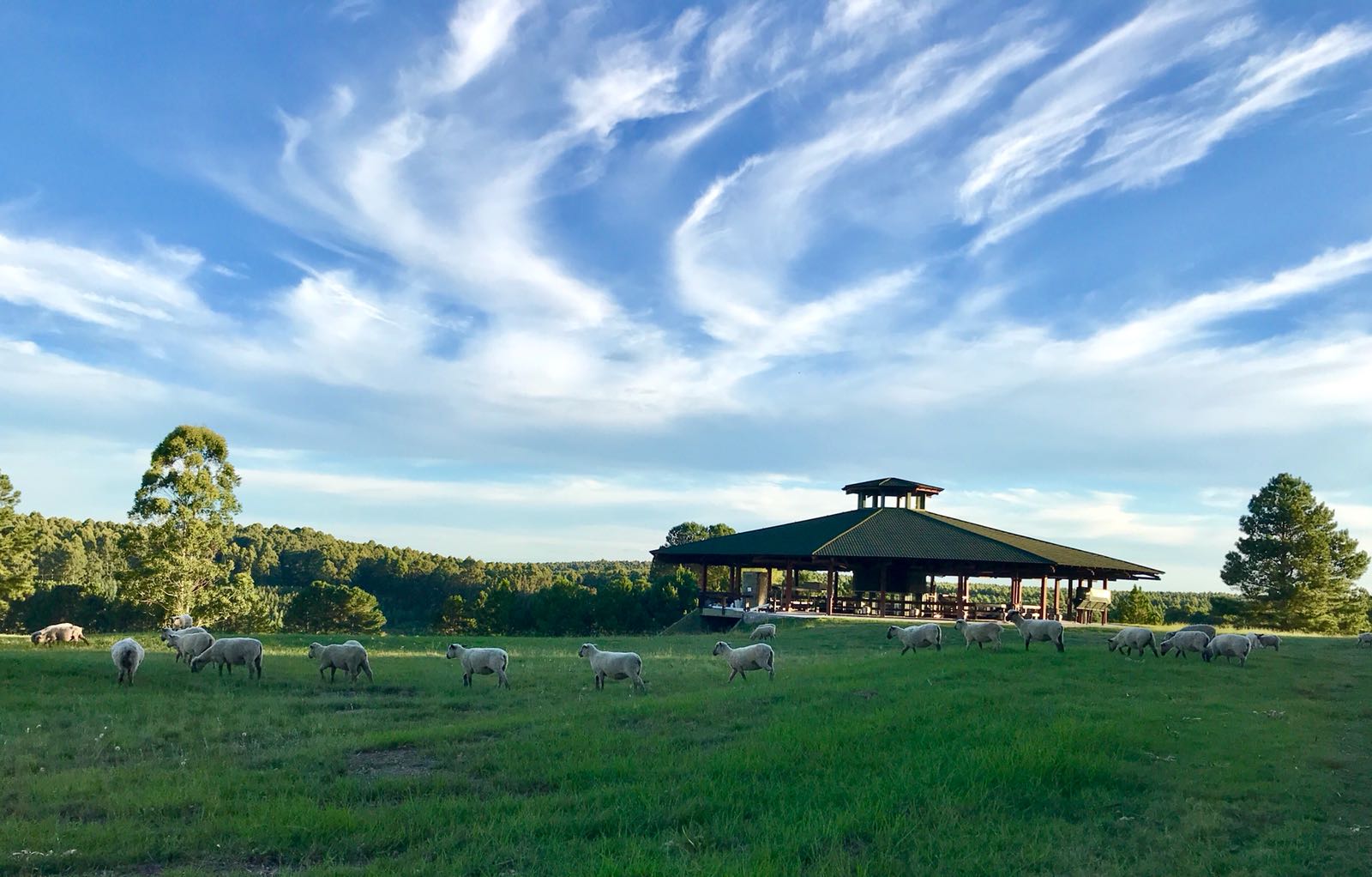 Bodega Cerro Chapeu - Wine tasting & tour | Winetourism.com