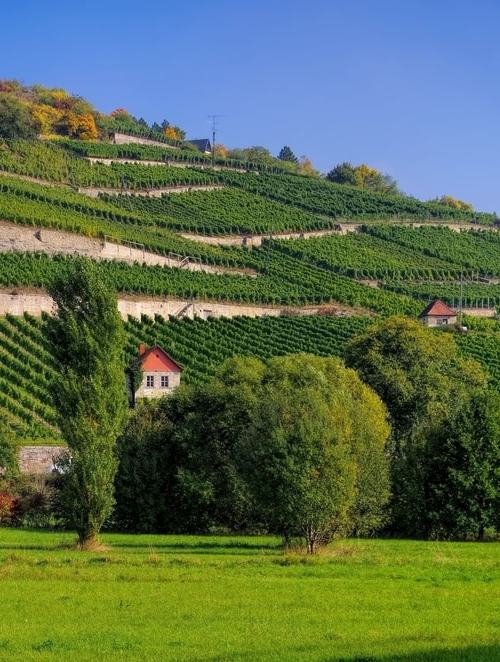 German wine regions - Wine tasting & tours | Winetourism.com