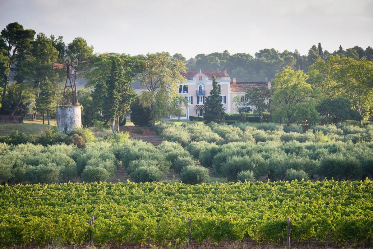 Château Canet - Winery in Languedoc | Winetourism.com