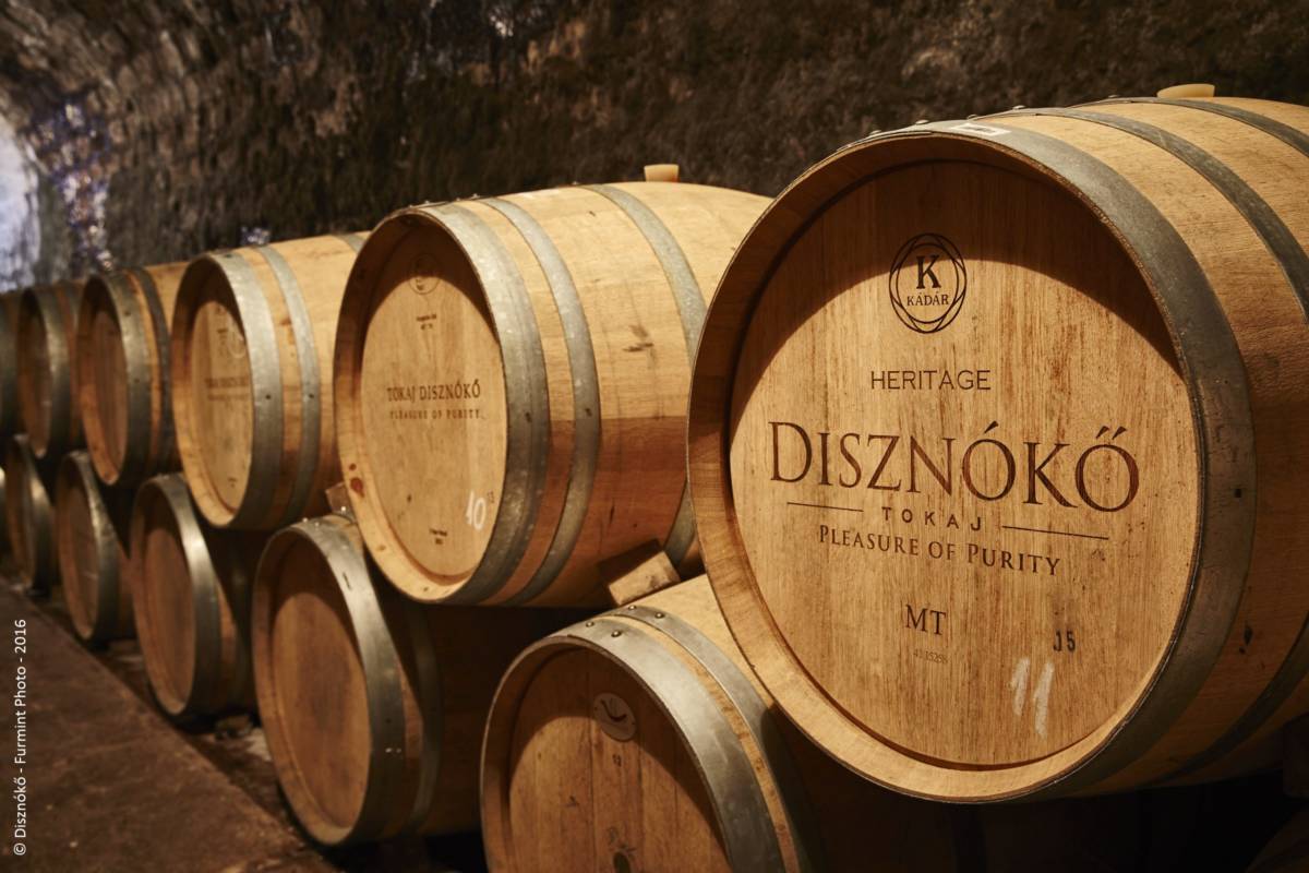 Disznókő - Winery in Tokaj | Winetourism.com