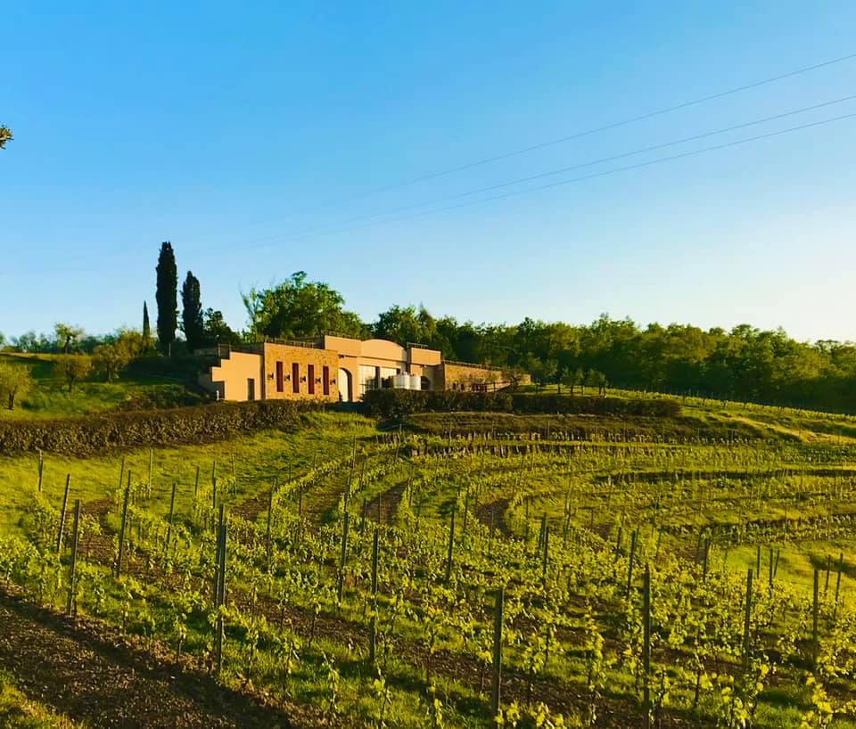 Fattoria Fibbiano - Winery in Tuscany | Winetourism.com