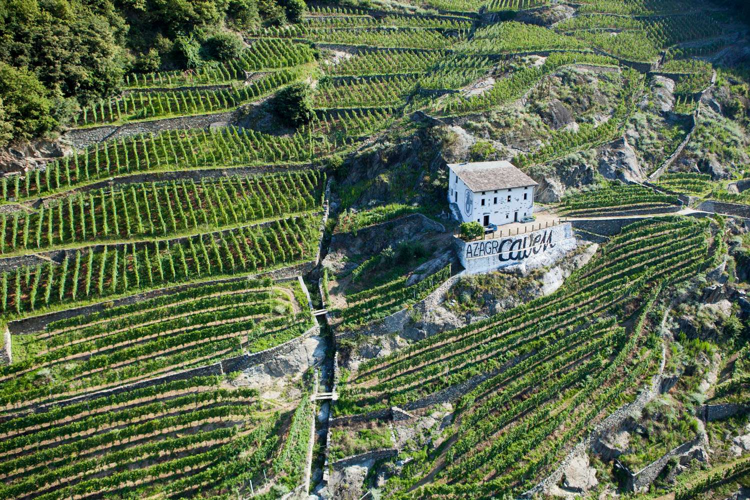 Best Wineries in Lombardy Wine Region, Italy | WineTourism.com