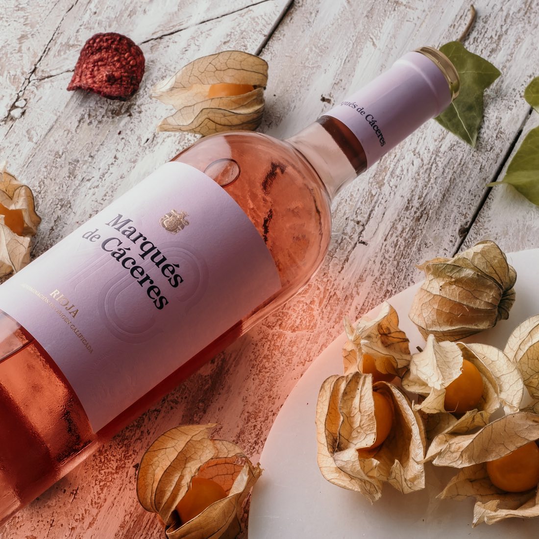 Marqués De Cáceres - Winery in Rioja | Winetourism.com