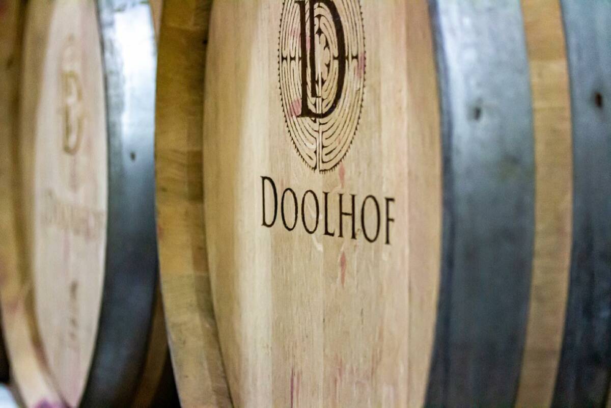 Doolhof Wine Estate - Winery in Coastal Region of South Africa ...