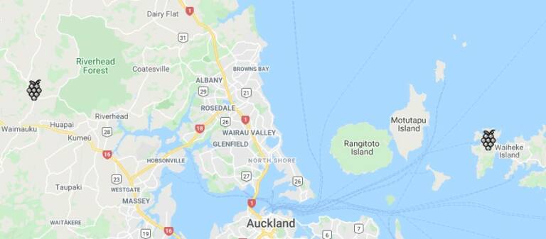 Auckland Wine Region, New Zealand | Winetourism