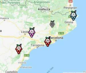 Catalonia Wine Region, Spain | Winetourism