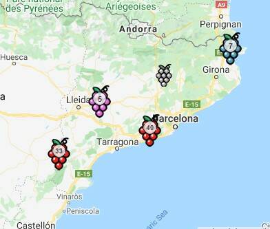 Catalonia Wine Region, Spain | Winetourism